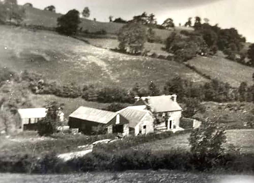 Dolau Inn - Historic early 19th century characteristic rural inn with ...